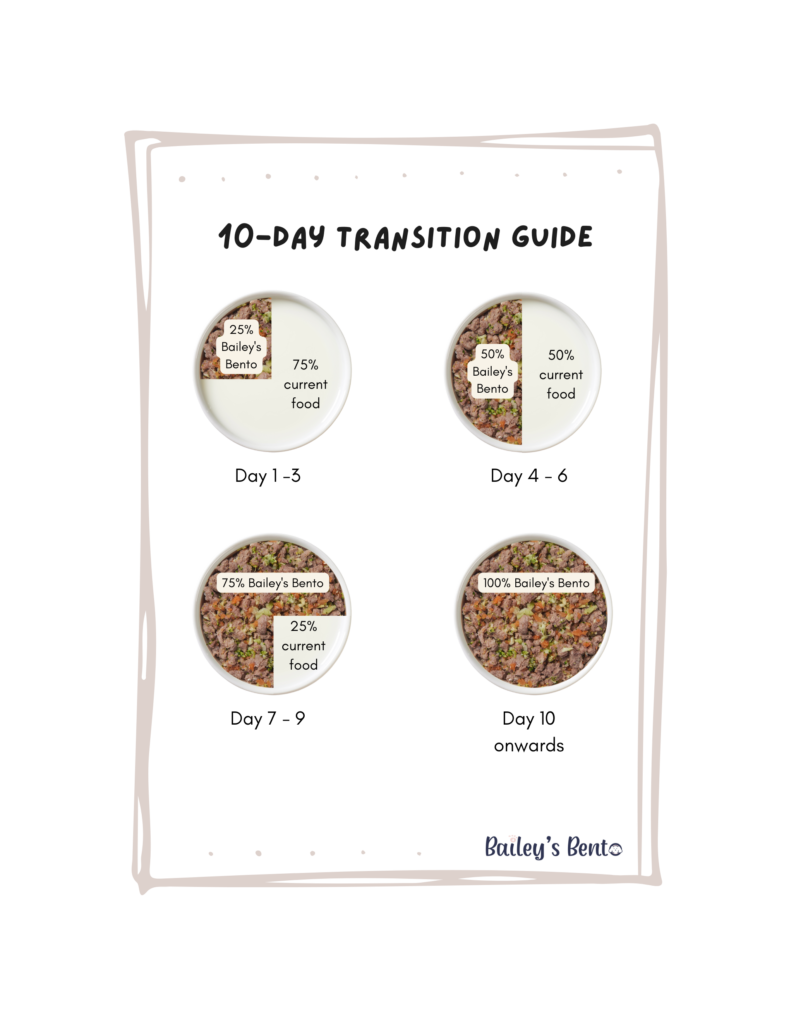 Subscriptions – Bailey’s Bento