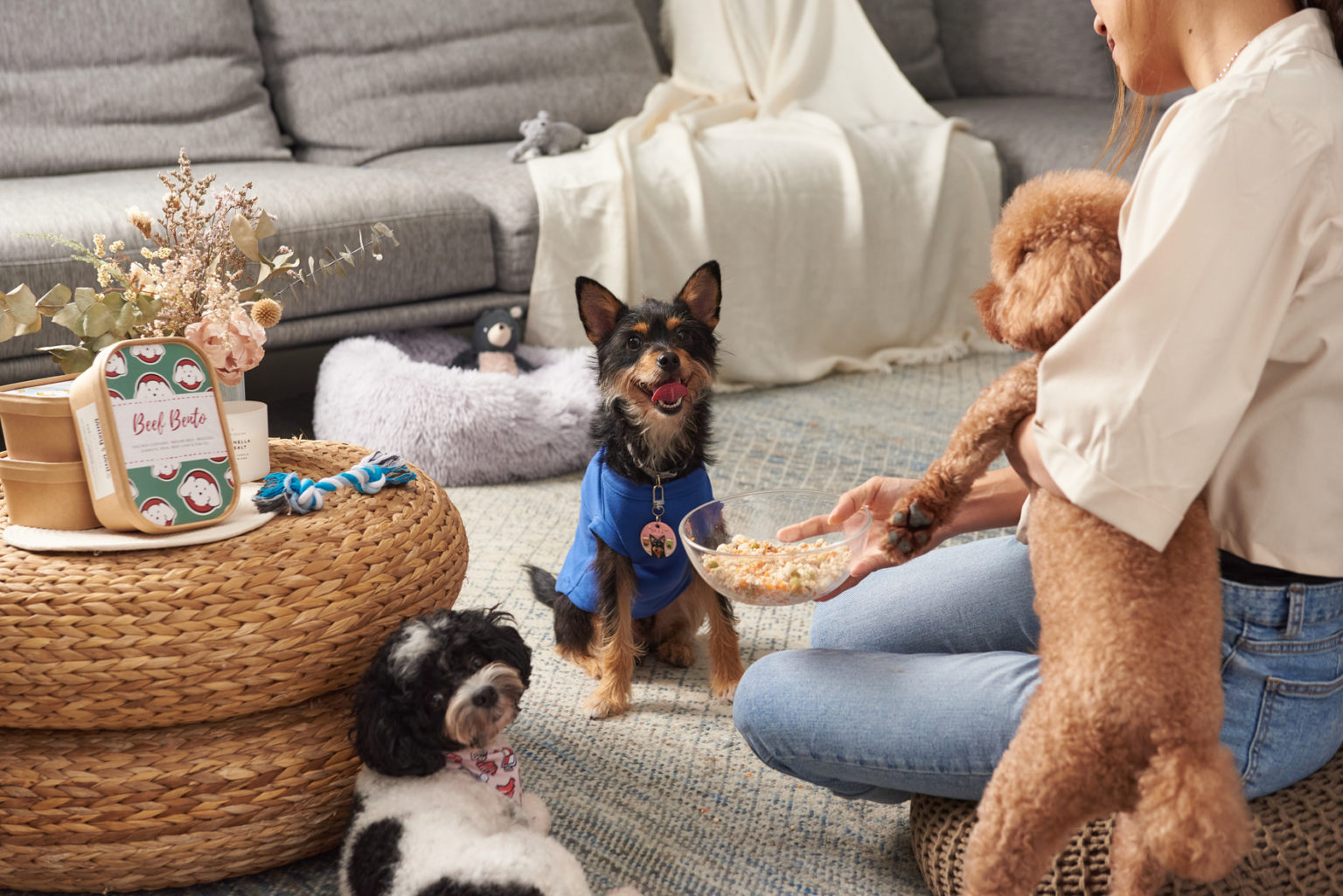 Subscriptions – Bailey’s Bento