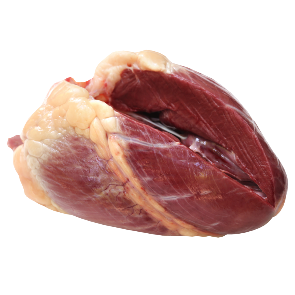 Beef Bento – Bailey’s Bento