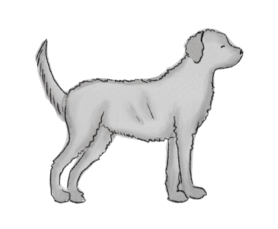 subscribe – Bailey's Bento